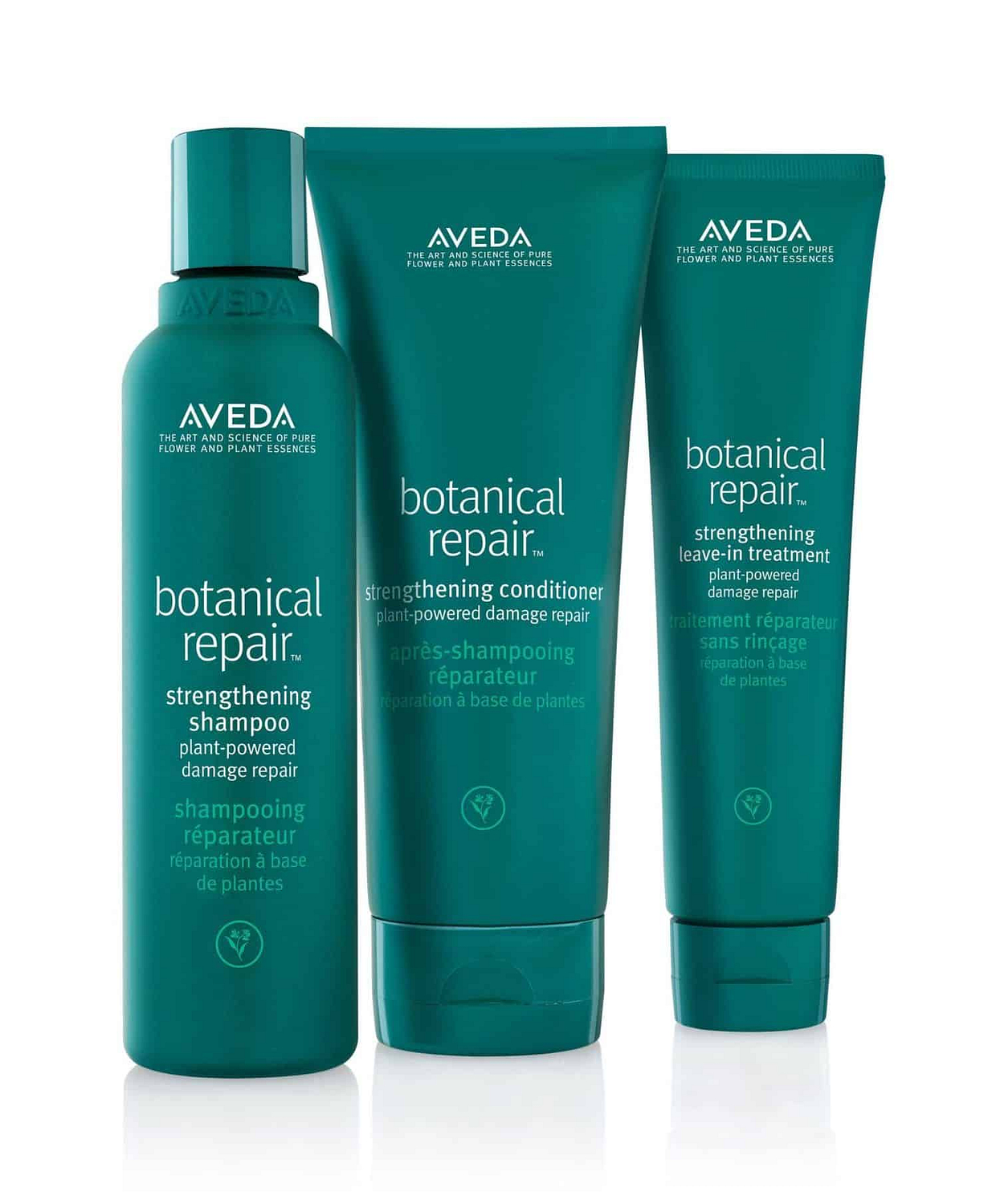Aveda Botanical Repair Set | HAIRSHOP