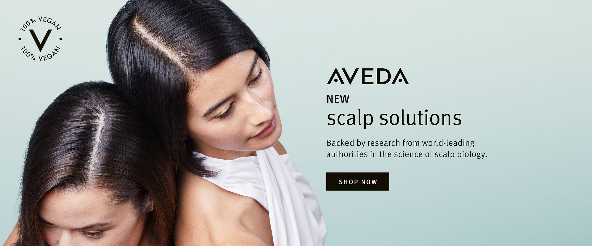 Buy Aveda Scalp Solutions Balancing Hair Care Hairshop